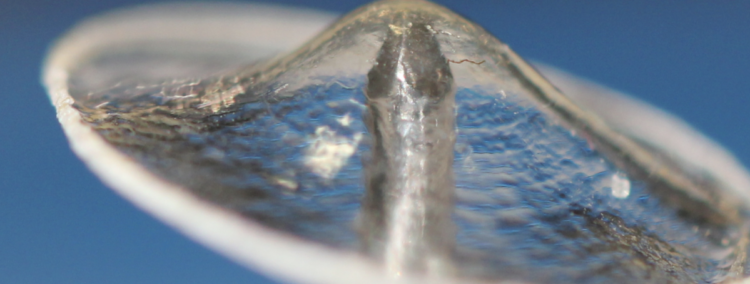 Ear Science Institute developing world first prosthetic eardrum from ...