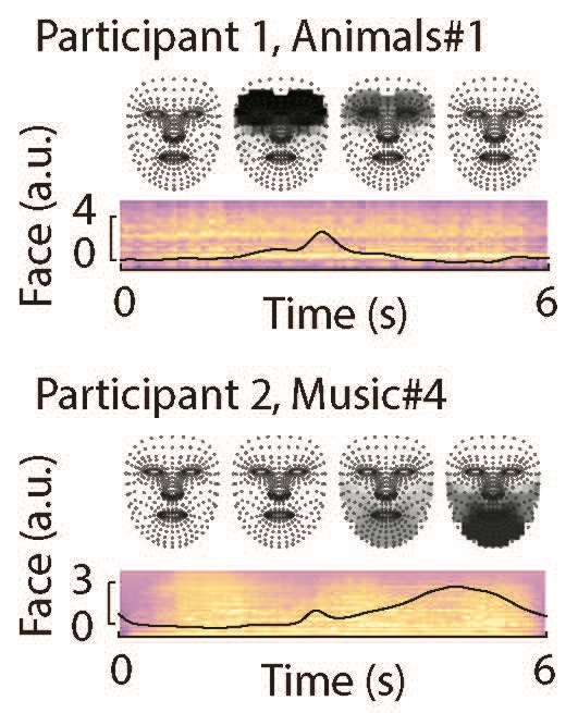 Scientists develop new facial expression scoring system to measure ...